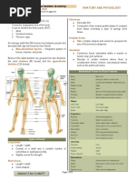 Skeletal System 206 Bones Comprehensive List | PDF | Skull ...