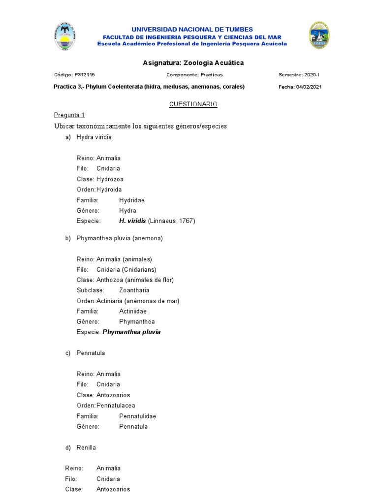 Práctica sobre el Phylum Coelenterata | PDF | Animales acuáticos ...
