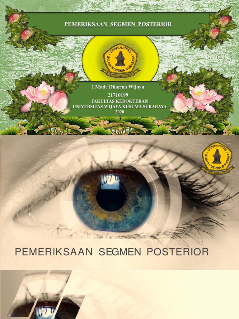 PEMERIKSAAN SEGMEN POSTERIOR MATA | PDF