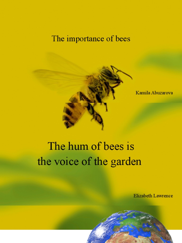 The Importance of Bees: Kamila Abuzarova Elizabeth Lawrence | PDF ...