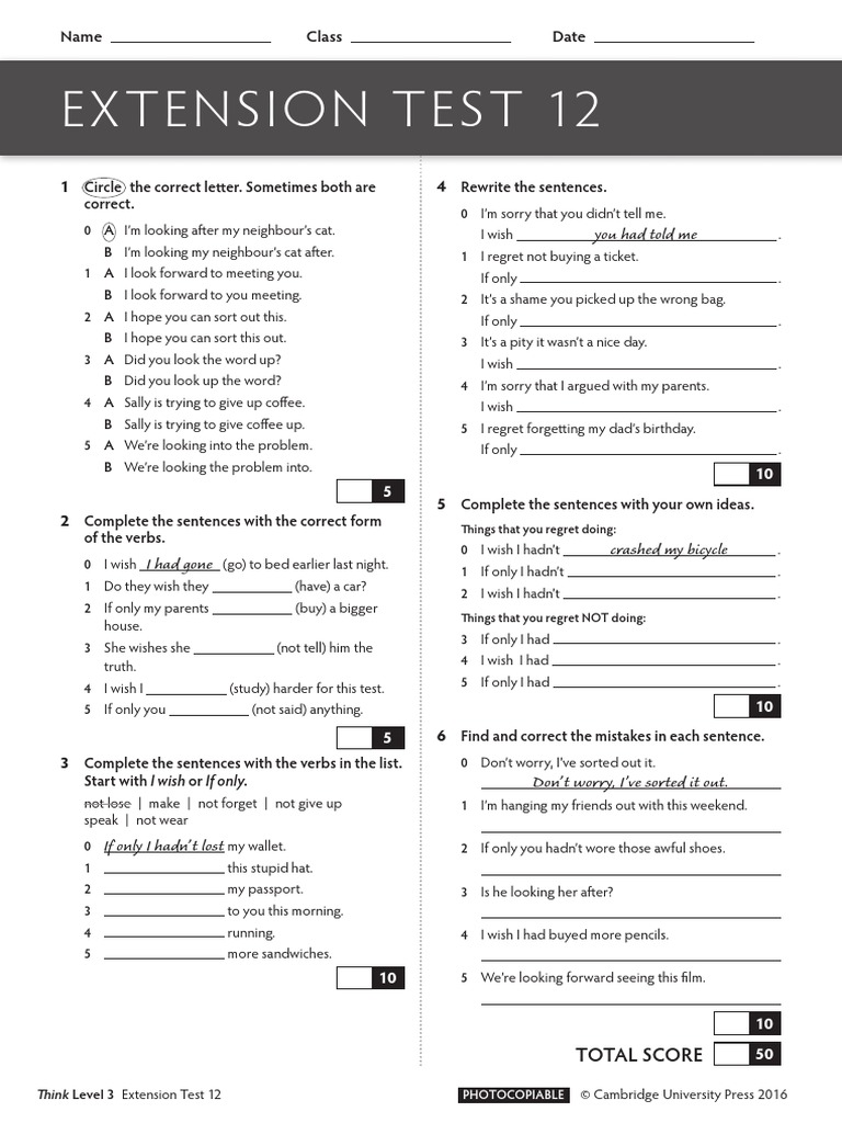 Unit 12 Extension Test | PDF