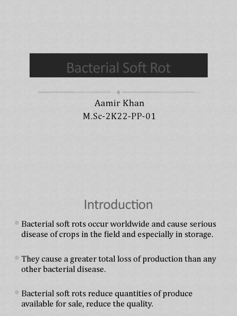 01-Bacterial Soft Rot | PDF