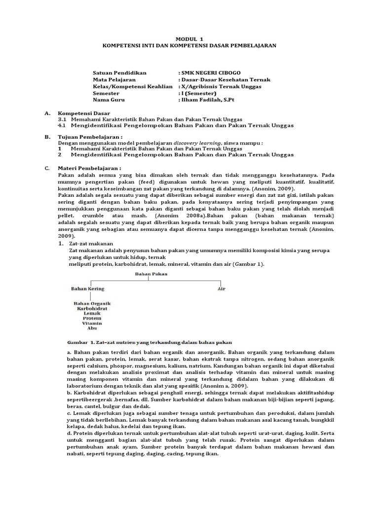 Modul Dasar Pakan Ternak Semester 1 | PDF | Kesehatan Holistik | Sains & Matematika