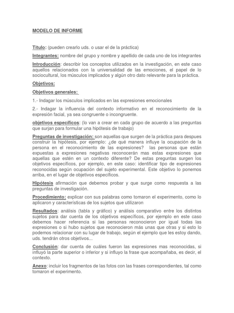 Modelo de Informe | PDF