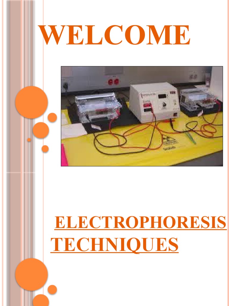 Electrophoresis Techniques Guide | PDF | Gel Electrophoresis ... Electrophoresis Techniques Guide | PDF | Gel Electrophoresis ...