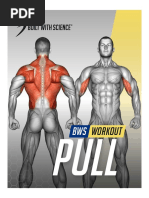 Full Body Workout B PDF | PDF | Limbs (Anatomy) | Human Anatomy