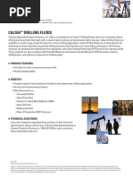 Calpar™ Paraffinic Base Oils Overview | PDF | Viscosity | Liquids