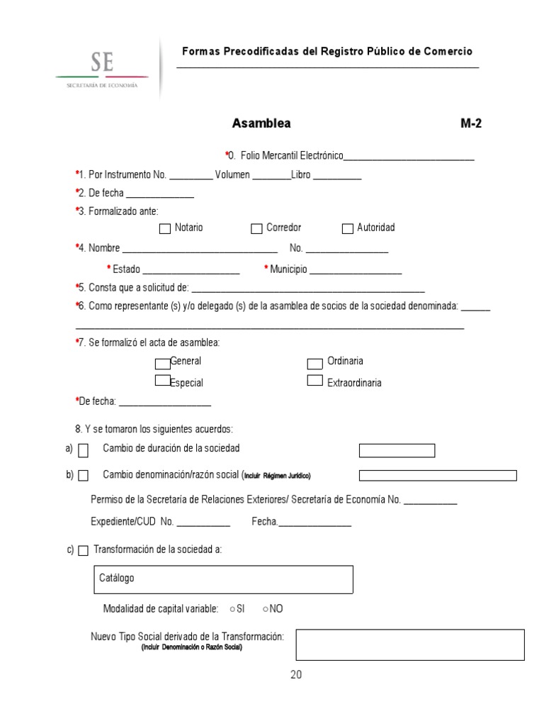 Forma Precodificada M2 en Blanco | PDF | Sociedad de responsabilidad ...