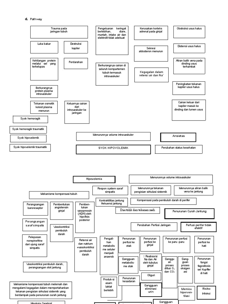 Pathway Syok Hipovolemik | PDF