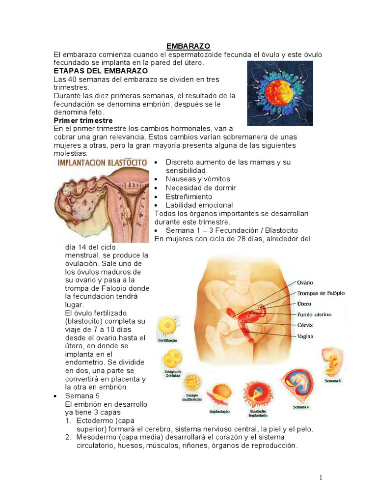 1B Embara.. | PDF | Autosuperación | Bienestar