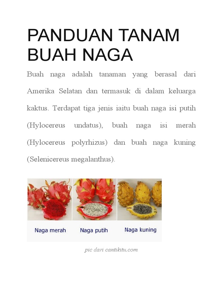 Naga 6 | PDF