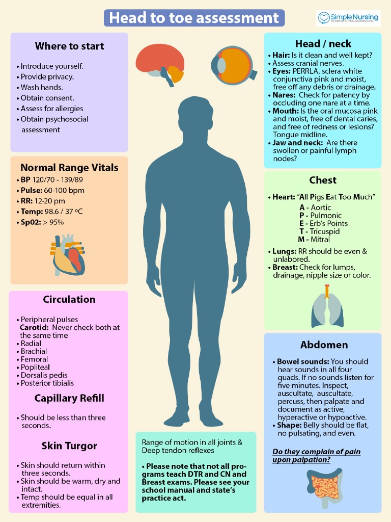 Health Assessment | PDF