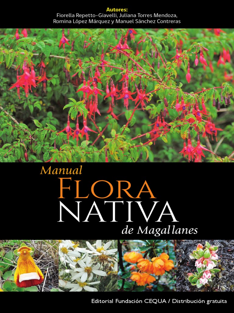 Manual Flora Nativa de Magallanes | PDF | Biodiversidad | Plantas