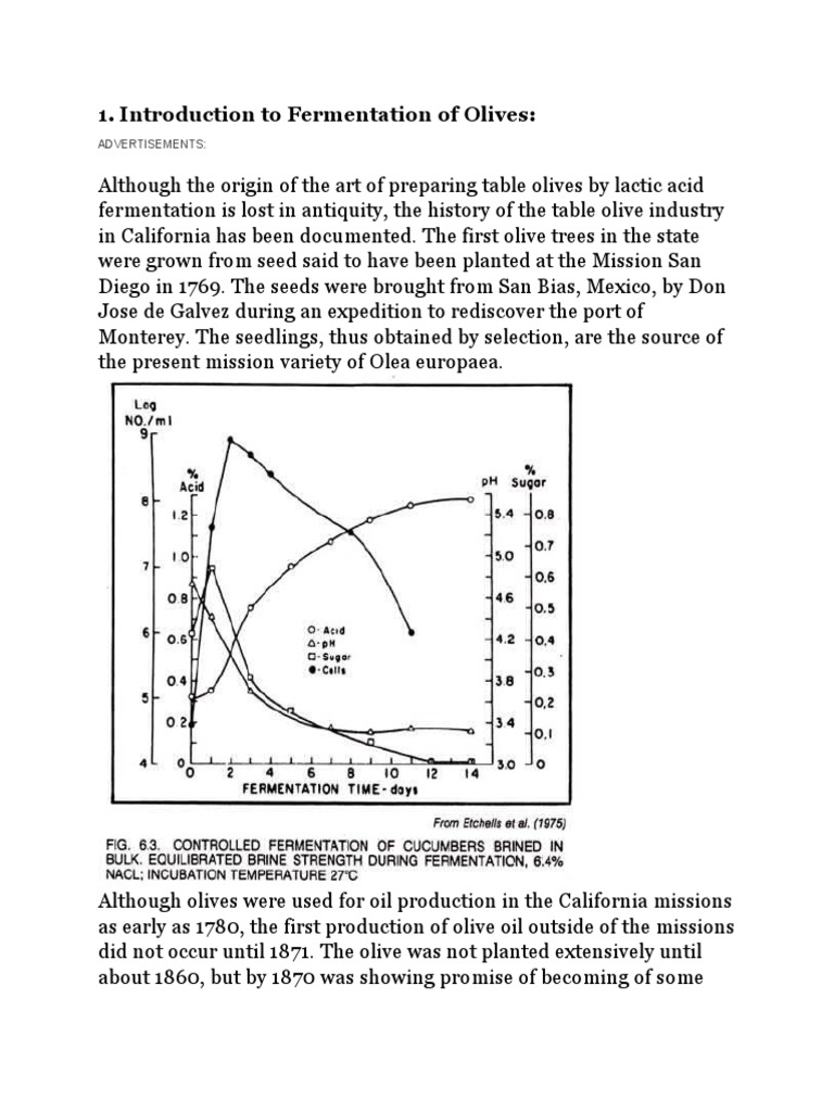 Fermentation of Olive | PDF | Olive | Fermentation