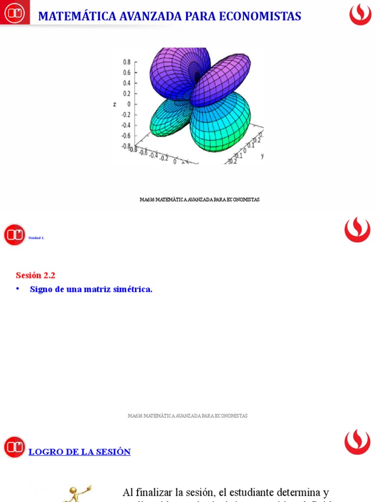 2.2 Signo de Una Matriz Simétrica | PDF