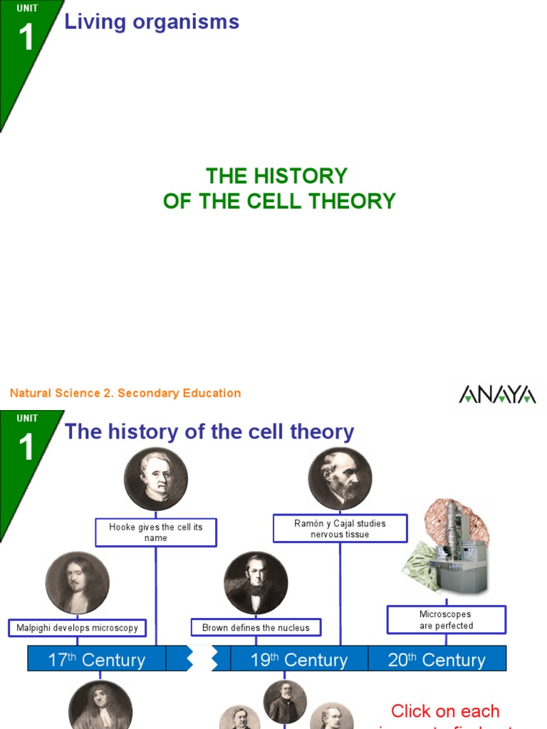 Cell Theory History | PDF | Cell (Biology) | Microscope