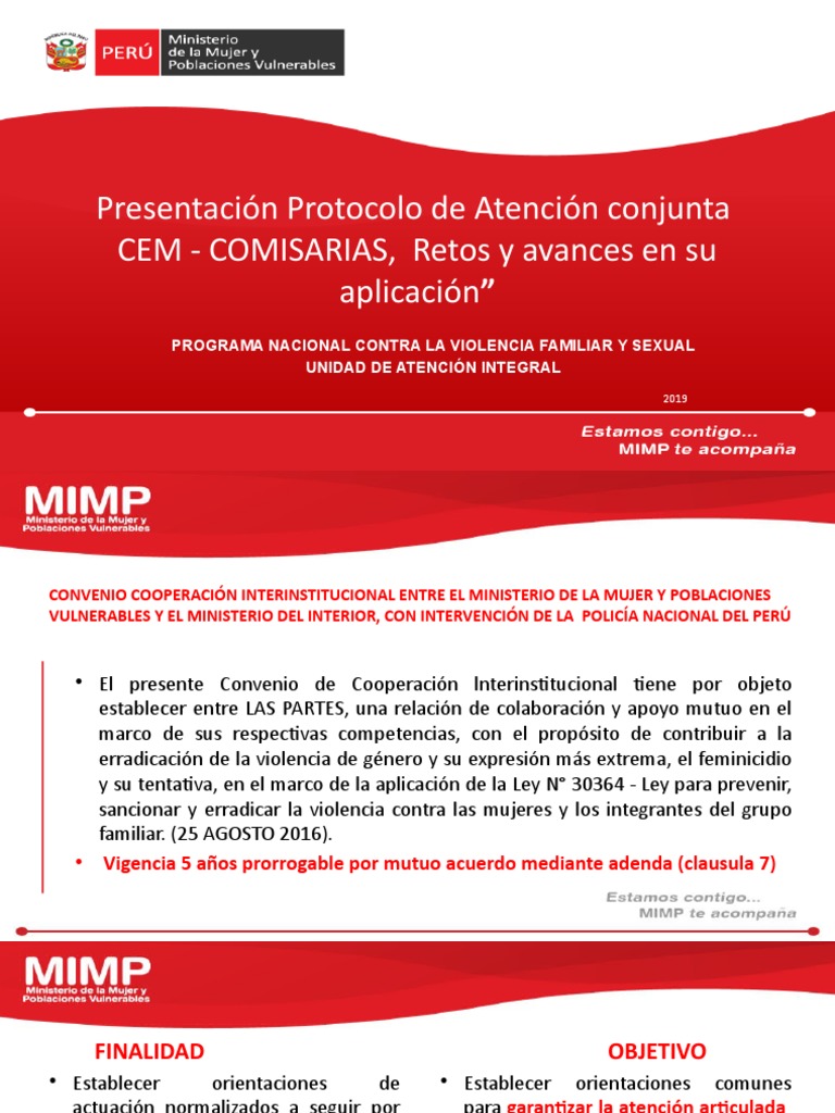 08 - Protocolo de Atencion Cem - Comisarias | PDF | La violencia contra las mujeres | Invalidez