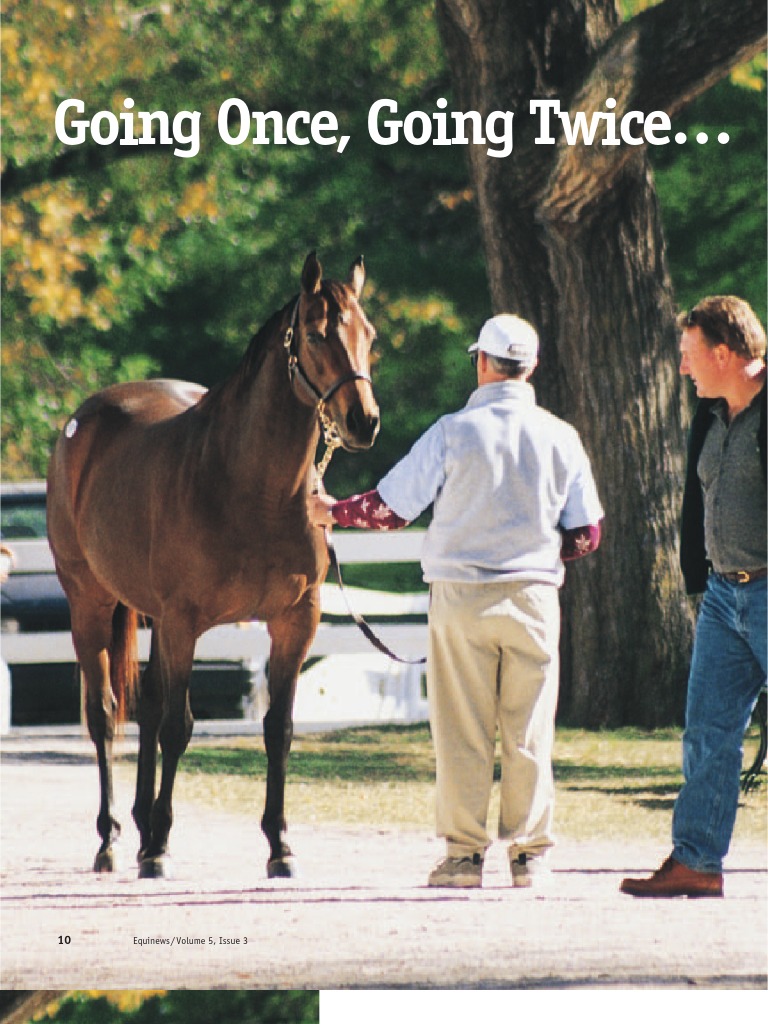 Going Once, Going Twice : Equinews/ Volume 5, Issue 3 | PDF | Foal | Horses