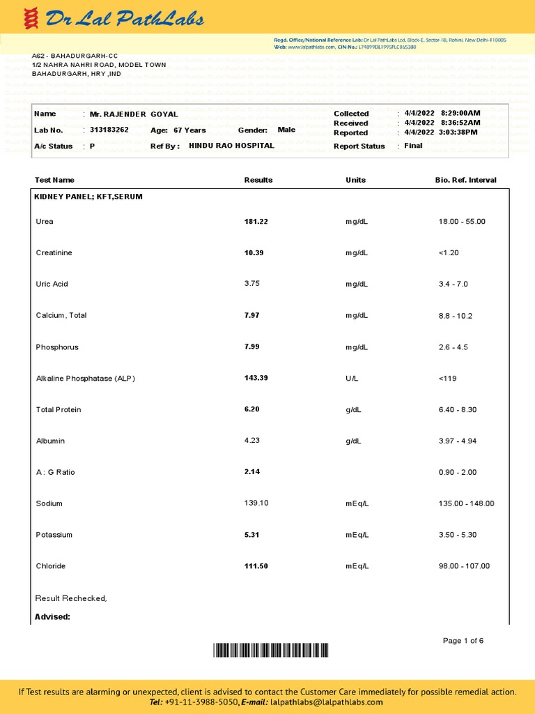 Papa Reports 04-04-2022 | PDF | Hepatitis B | Hepatitis