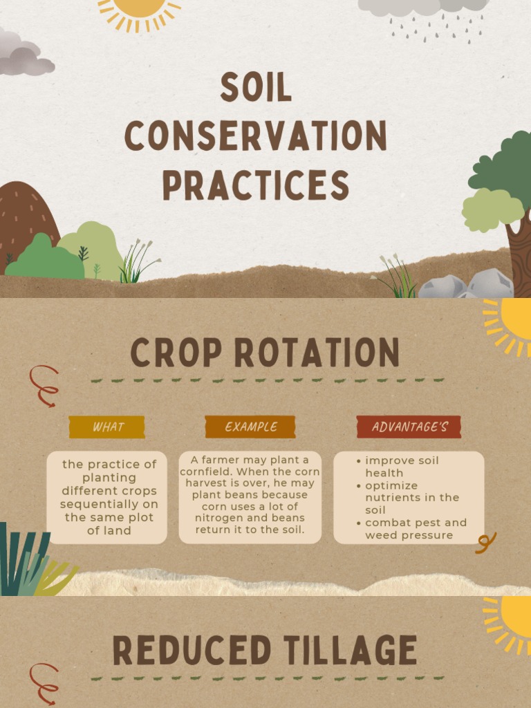 Soil Conservation Practices | PDF | Agriculture | Crop Rotation
