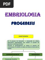 Atlas del Desarrollo Embrionario del Perro | PDF | Embrión | Procesos ...