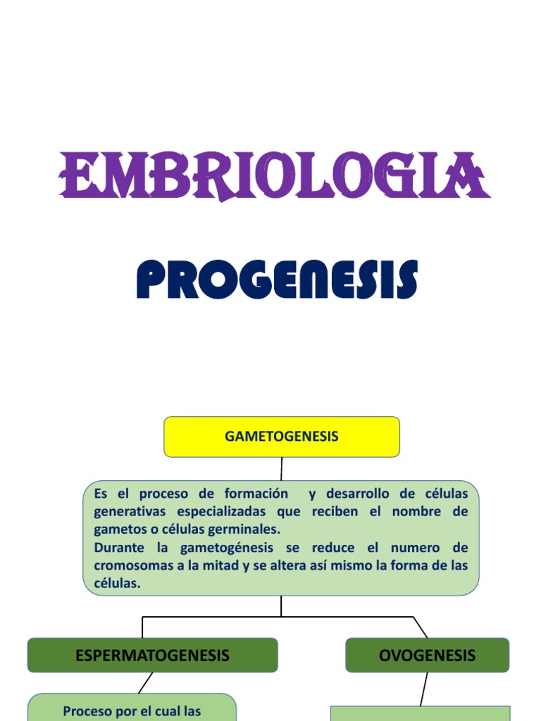 Progenesis y Fecundación en Embriología | PDF | Salud y bienestar