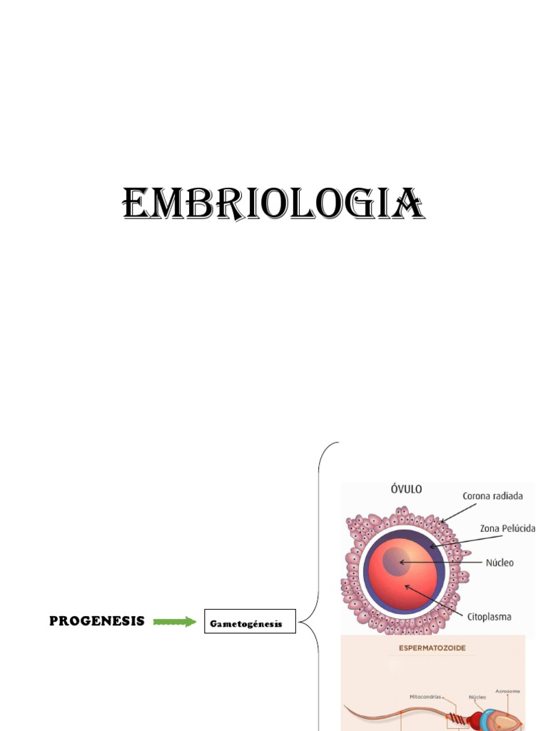 Progenesis Practica | PDF