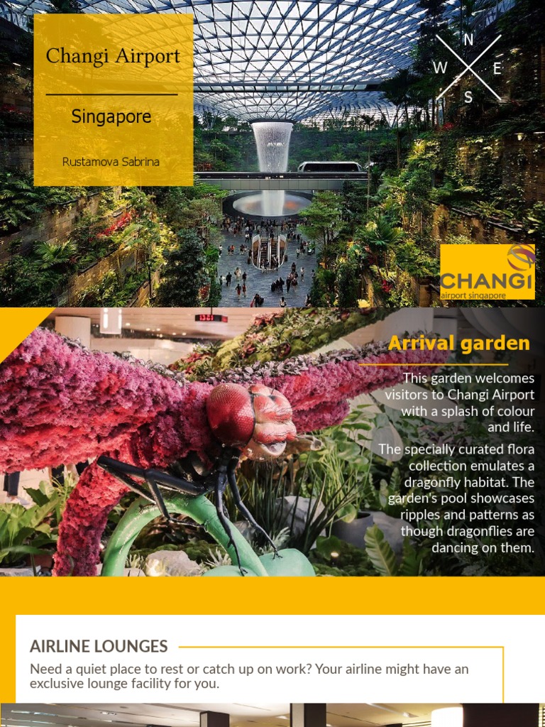 Changi Airport | PDF