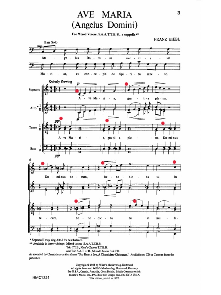 Ave Maria Biebl Sheet Music | PDF