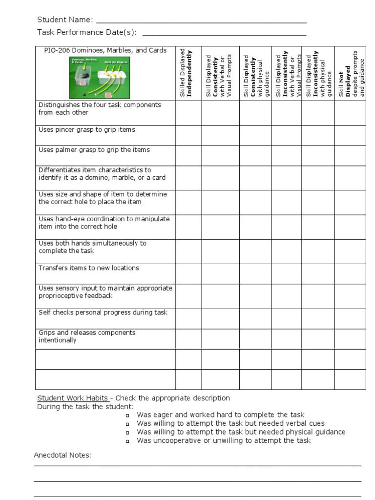 PIO-206 Rubric | PDF | Nervous System | Cognitive Psychology