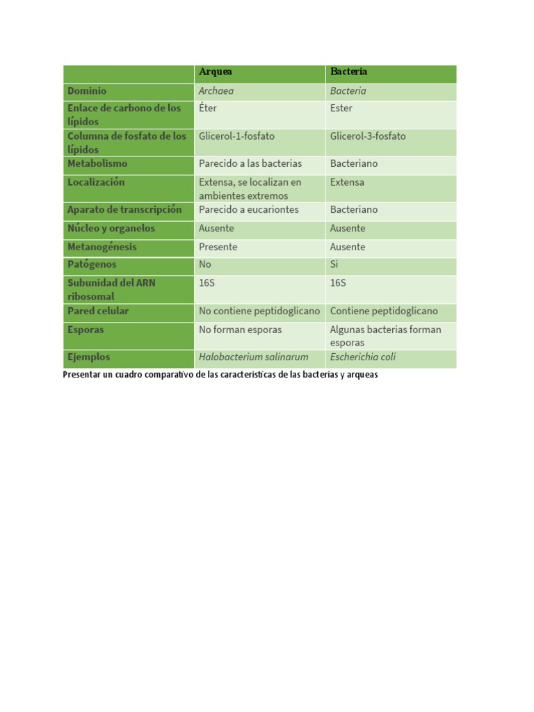 Cuadro Comparatico de Arqueas y Bacteria | PDF