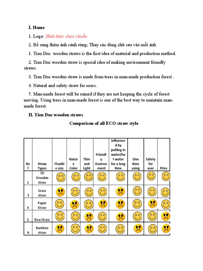 Eco-Friendly Tien Duc Wooden Straws | PDF | Science & Mathematics