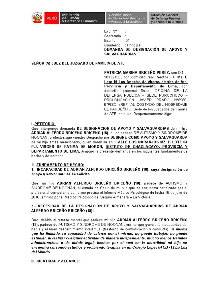 Demanda de Apoyo y Salvaguardias Judiciales | PDF | Ley procesal | Gobierno