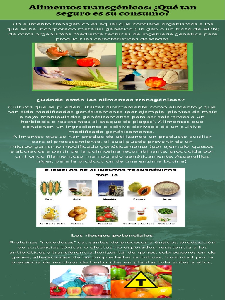 Alimentos Transgénicos: Seguridad y Riesgos | PDF | Organismo ...
