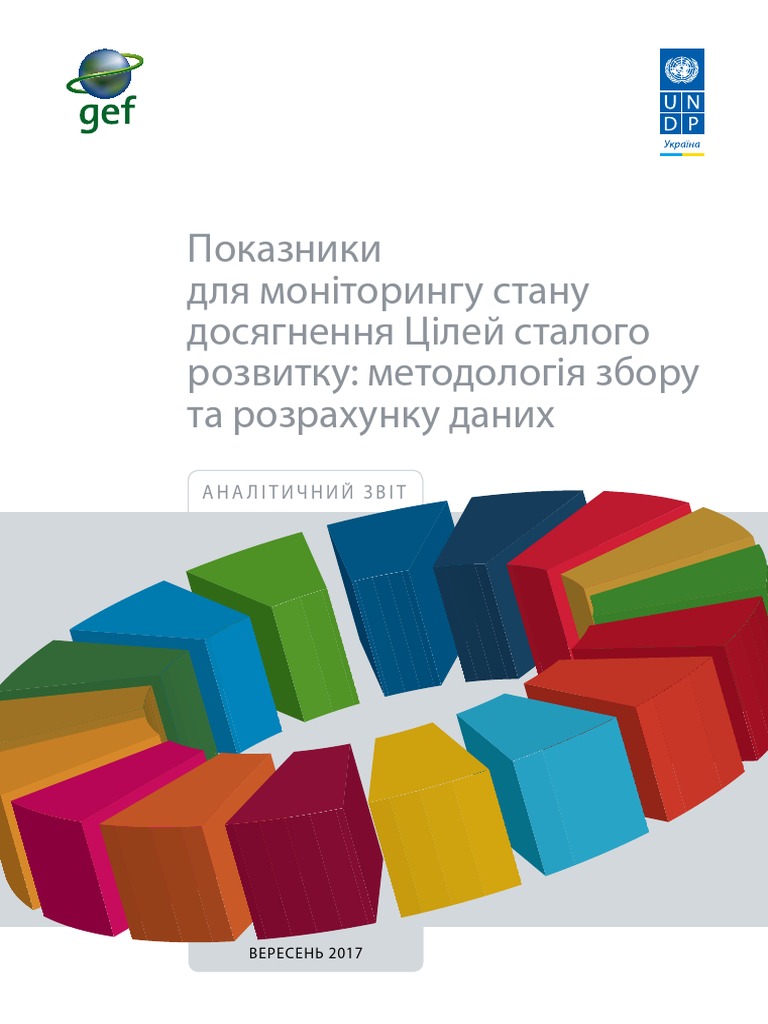 UNDP StatReport v06 | PDF