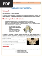 Operculectomía: Técnica y Procedimiento | PDF | Diente humano ...