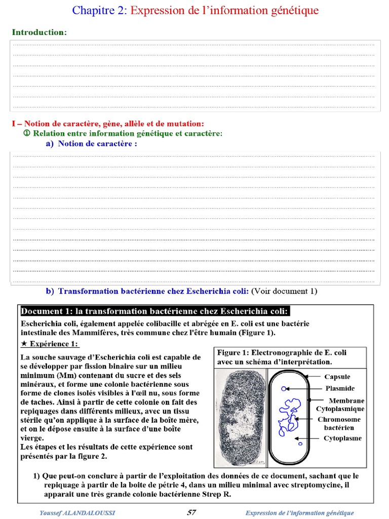 Cours Unit2 2 | PDF