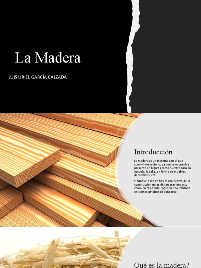 Tipos y propiedades de la madera | PDF | Madera