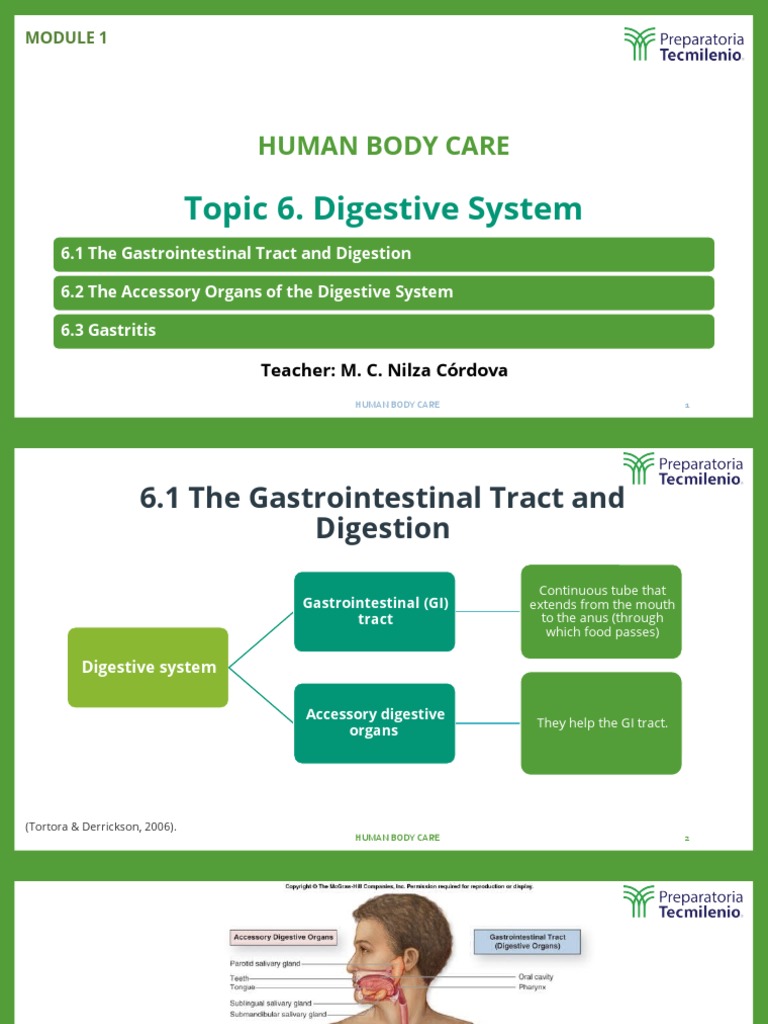 Topic 6. Digestive System | PDF | Digestion | Gastrointestinal Tract