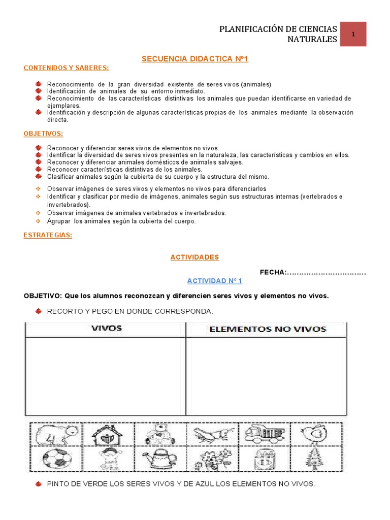 Actividades de CS NATURALES. | PDF | Plantas | Póster