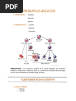 Constantes Corpusculares | PDF | Glóbulo rojo | Lupus eritematoso sistémico