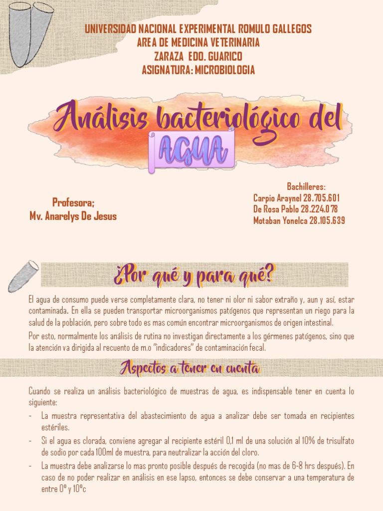 Practica #9 Microbiologia SecA2 | PDF | Las bacterias | Agua