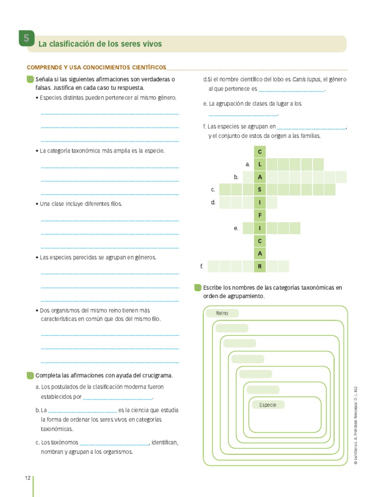 Ficha de Actividad Clasificacion de Los Seres Vivos | PDF | Taxonomía ...