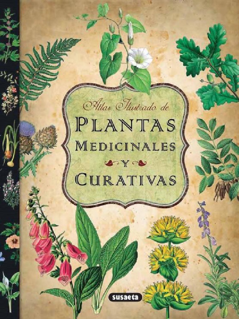 Atlas Ilustrado de Plantas Medicinales | PDF | Plantas medicinales ...