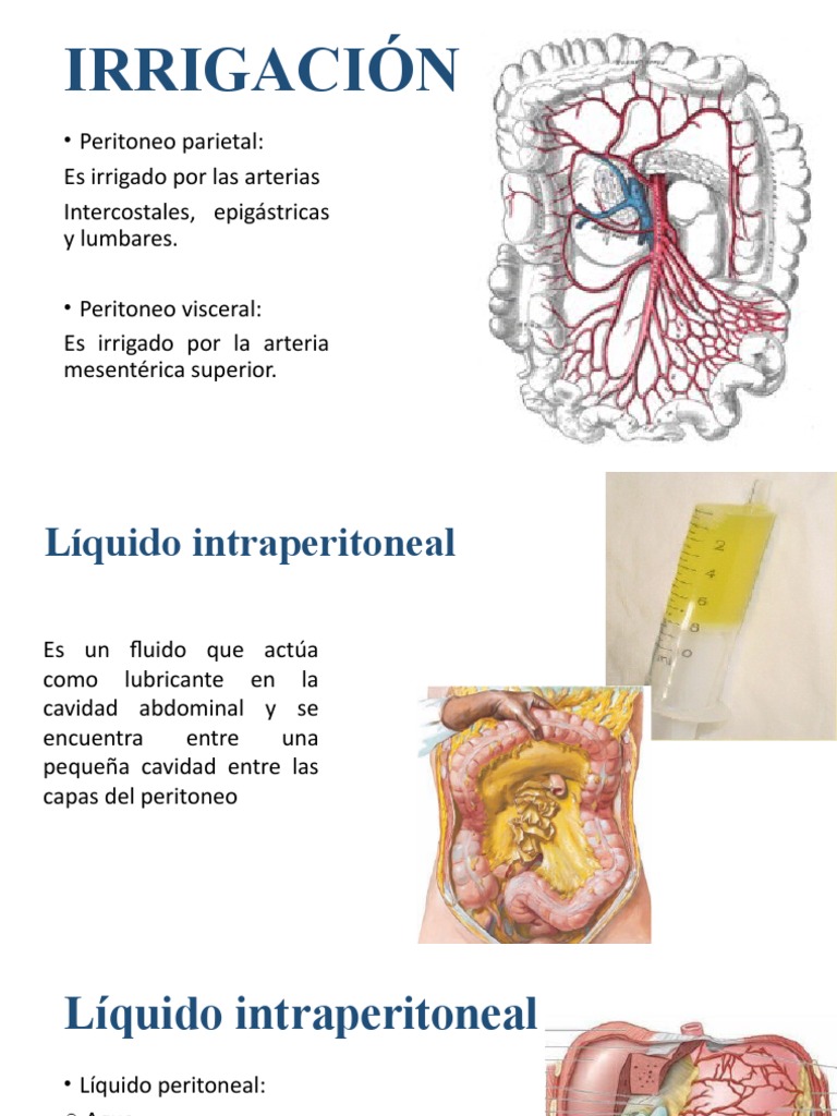 Irrigación y líquido peritoneal | PDF | Salud y bienestar | Ciencia y ...