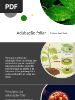 Manual de Adubação e Calagem para o Estado Do Paraná | PDF