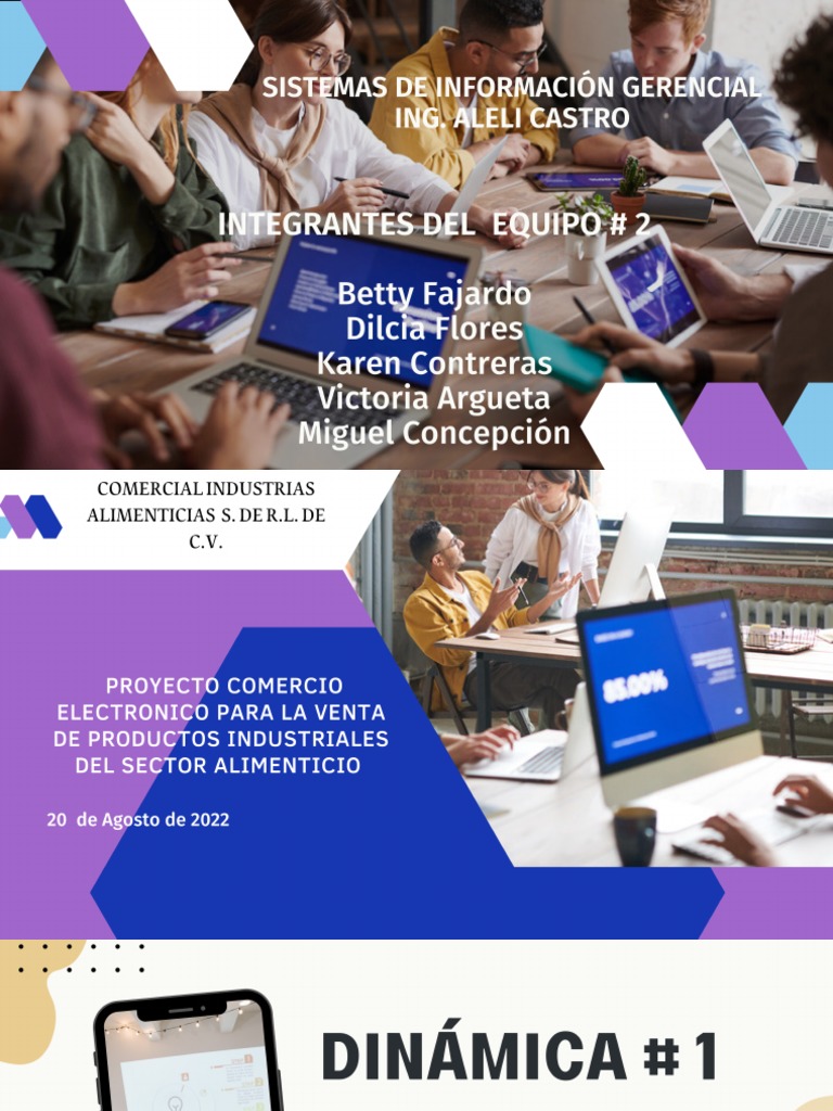 Proyecto E - Commerce | PDF