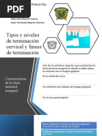 Líneas de Terminación | PDF | Dentadura postiza | Diente