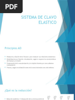 GUIA ANATOMIA CLINICA DEL BOVINO Con Material Complementario PDF | PDF | Ojo humano | Médula espinal
