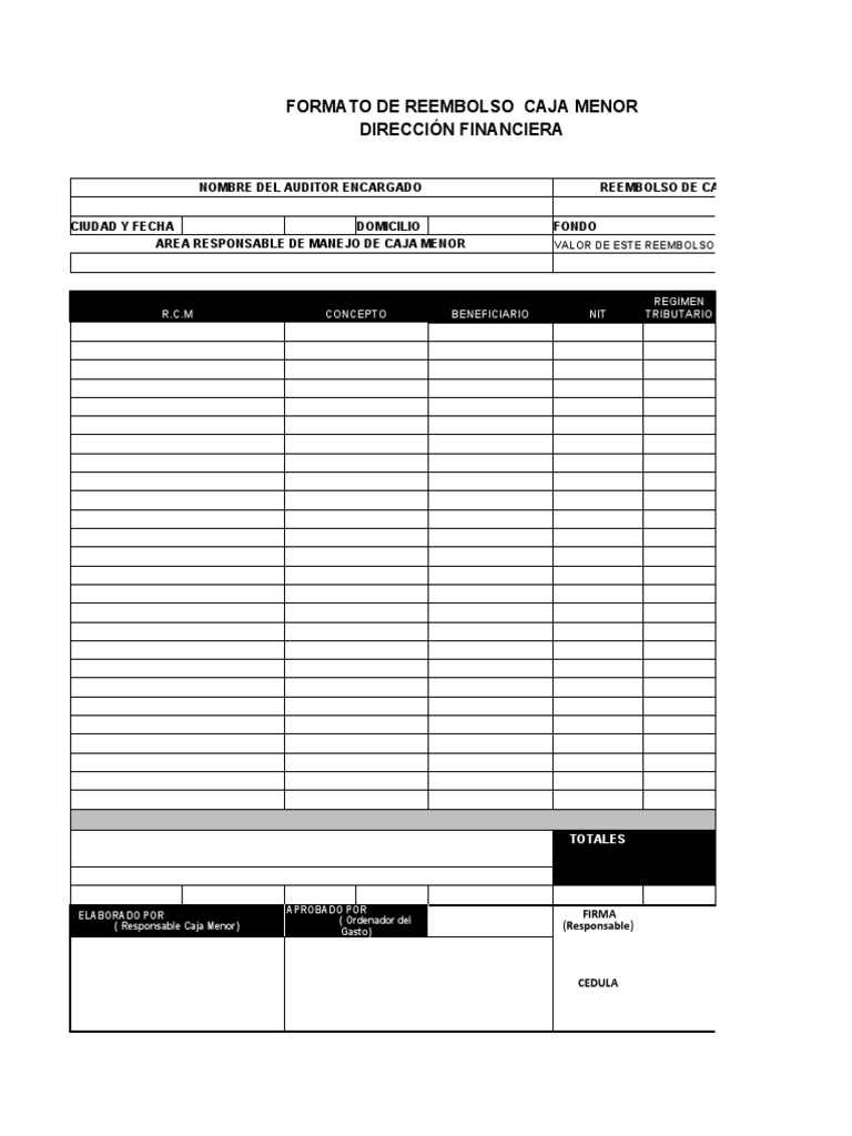 Formato Caja Menor | PDF